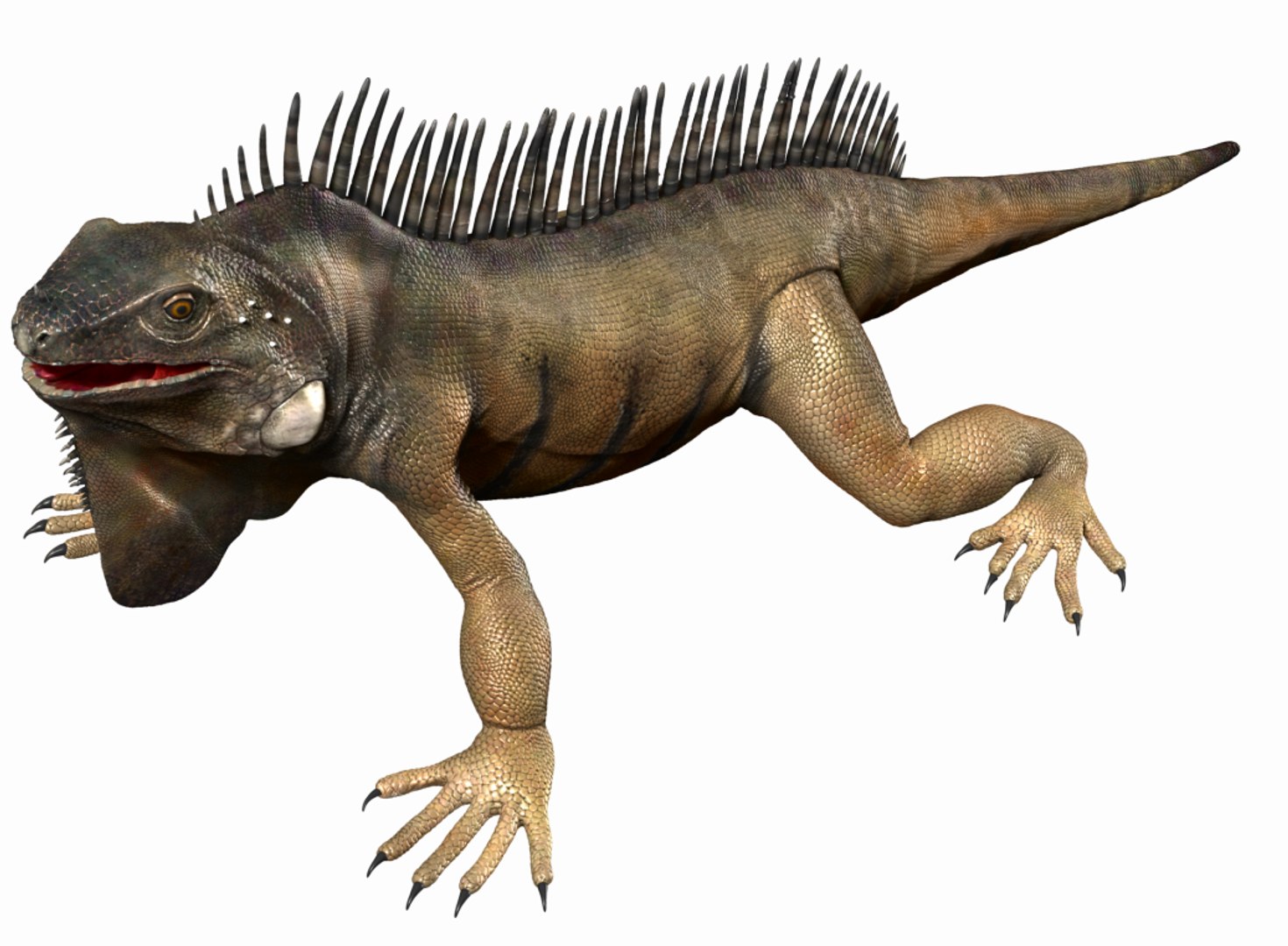 3D Film Ready Iguana Animation - TurboSquid 1449894