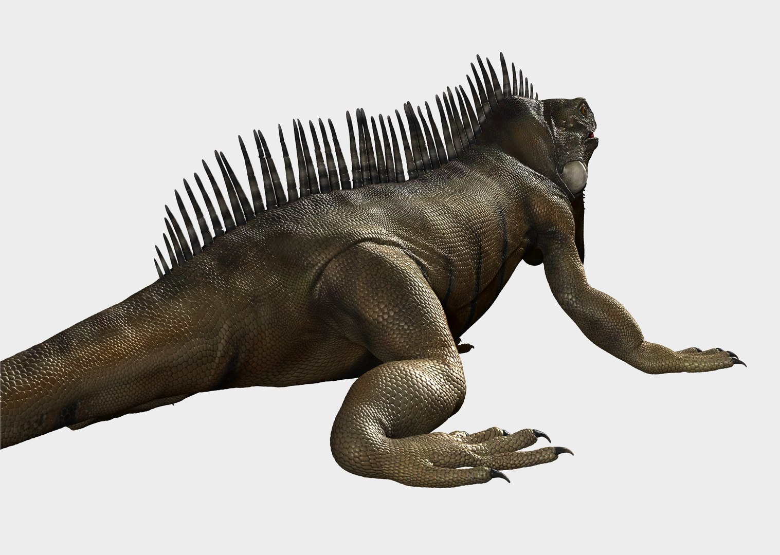 3D Film Ready Iguana Animation - TurboSquid 1449894