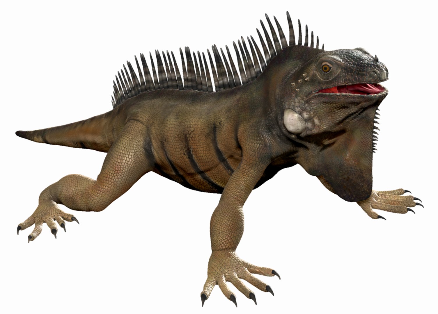 3D Film Ready Iguana Animation - TurboSquid 1449894