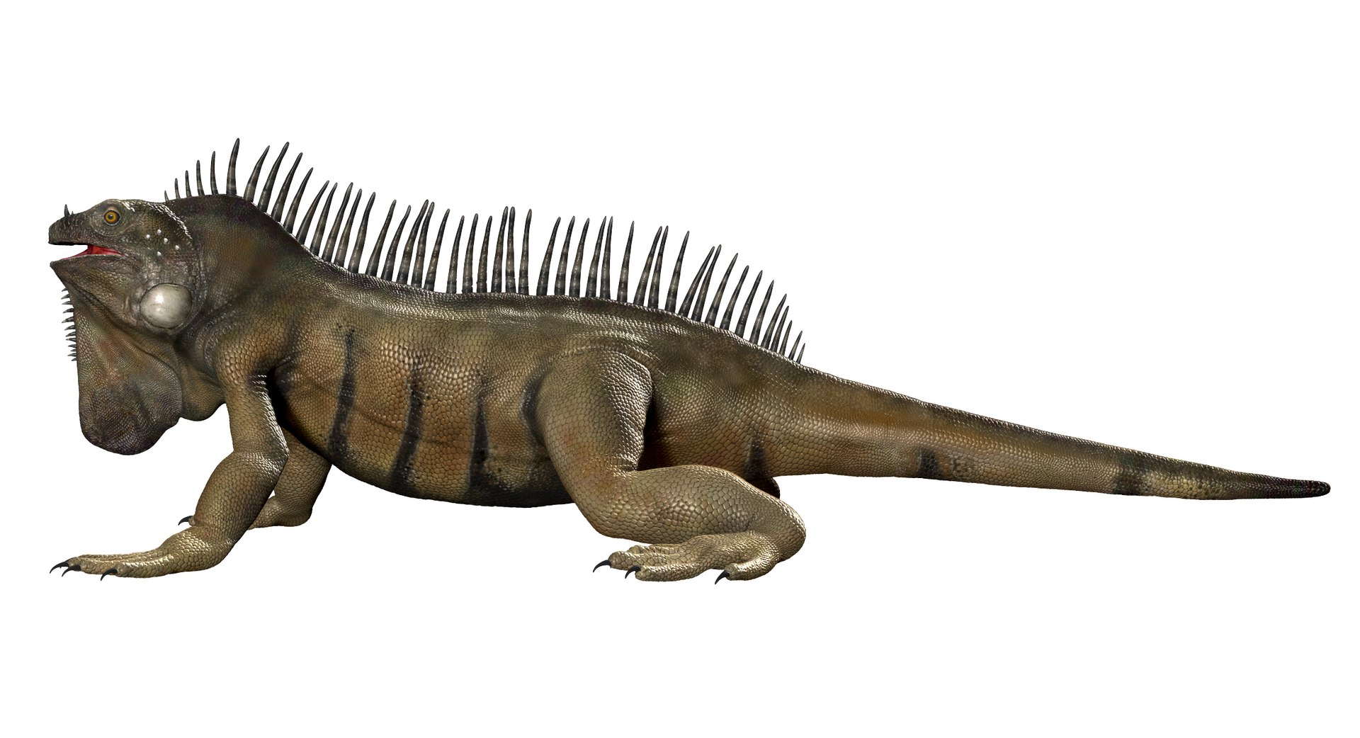 3D Film Ready Iguana Animation - TurboSquid 1449894