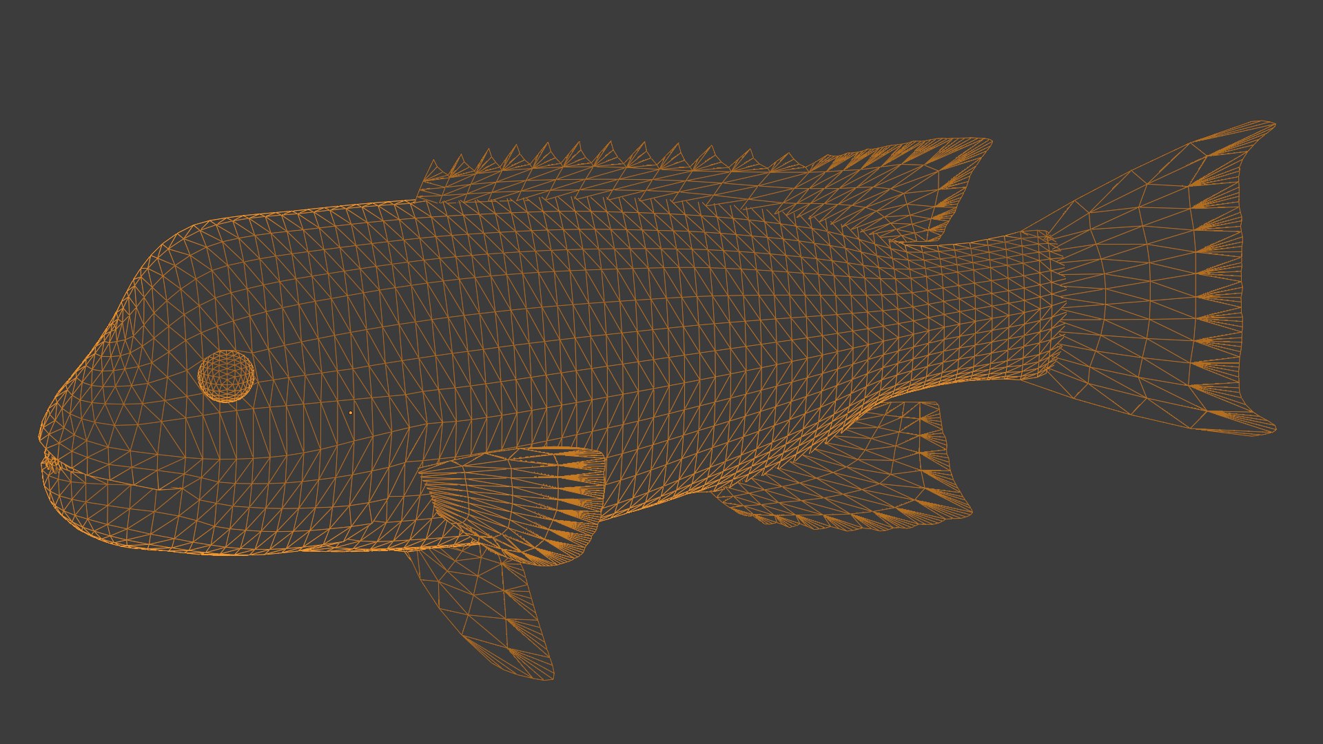 3d Sheephead Fish Model