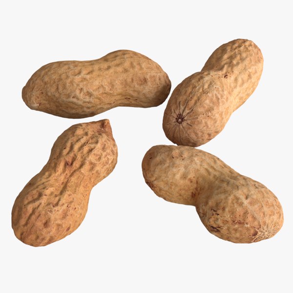 Peanut 3D model - TurboSquid 1868658