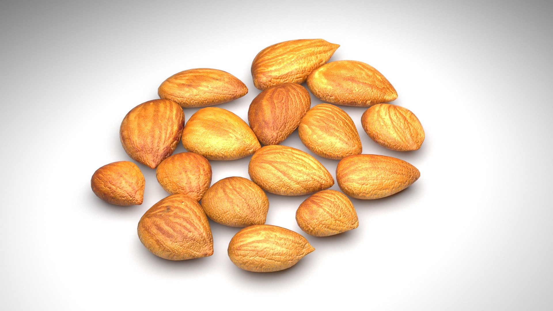 Apricot Kernels 3D Model - TurboSquid 1852839