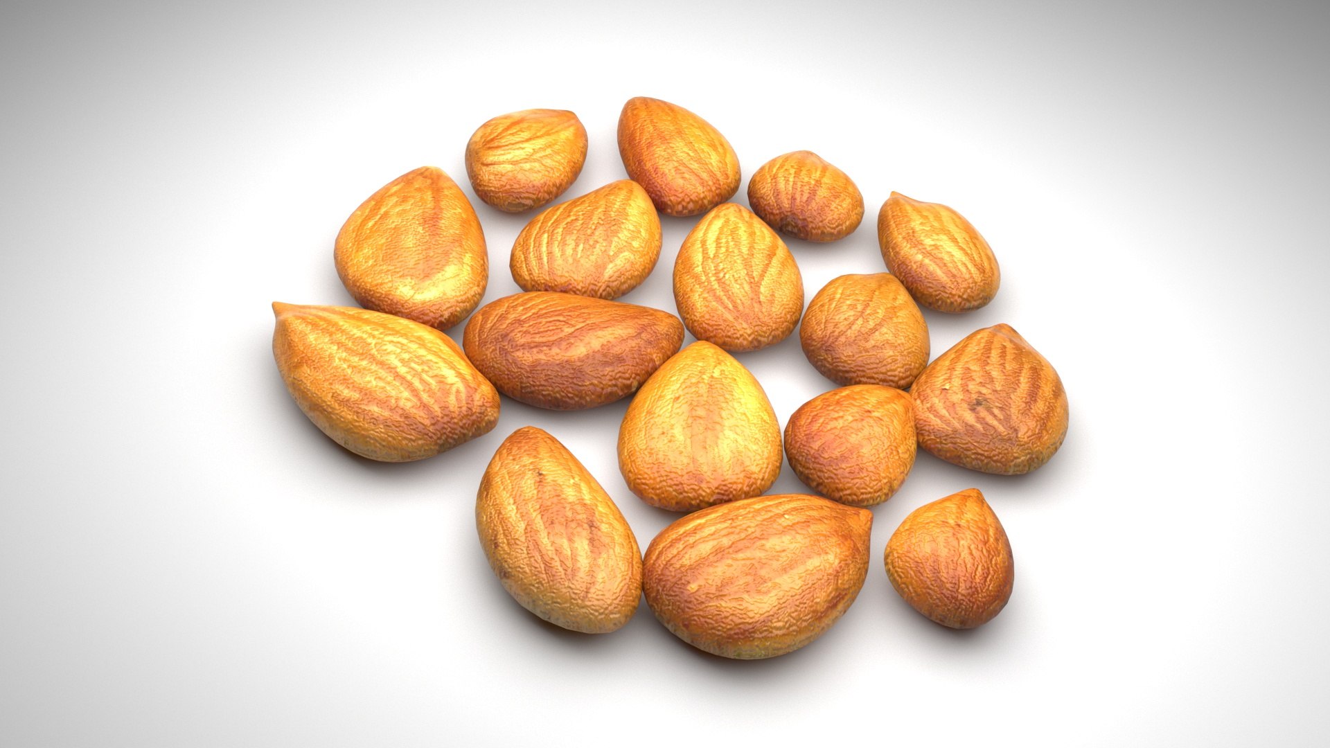 Apricot Kernels 3D Model - TurboSquid 1852839