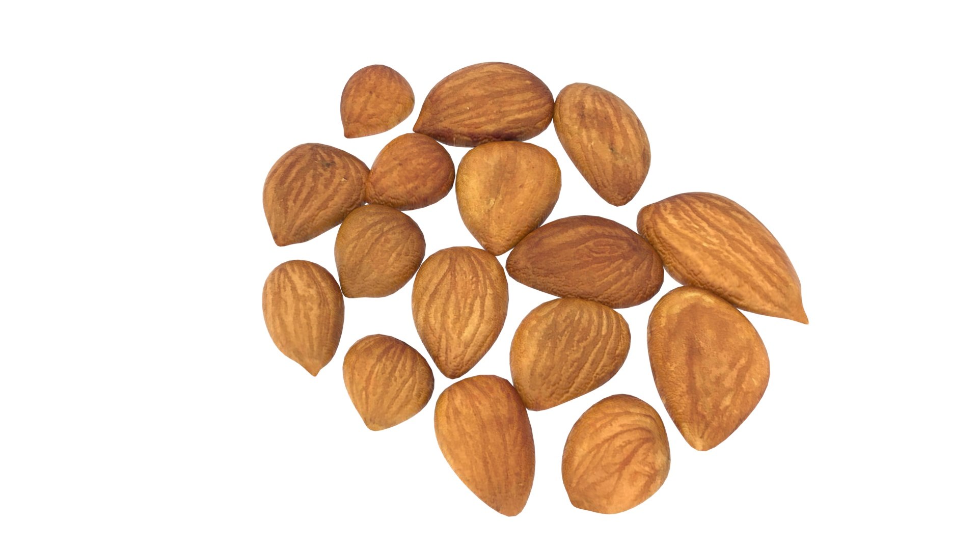 Apricot Kernels 3D Model - TurboSquid 1852839