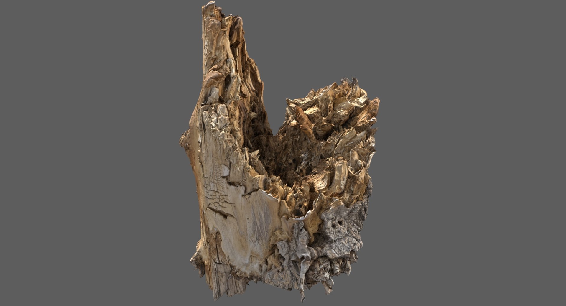 3D Model Tree Bark Scanned - TurboSquid 1419895