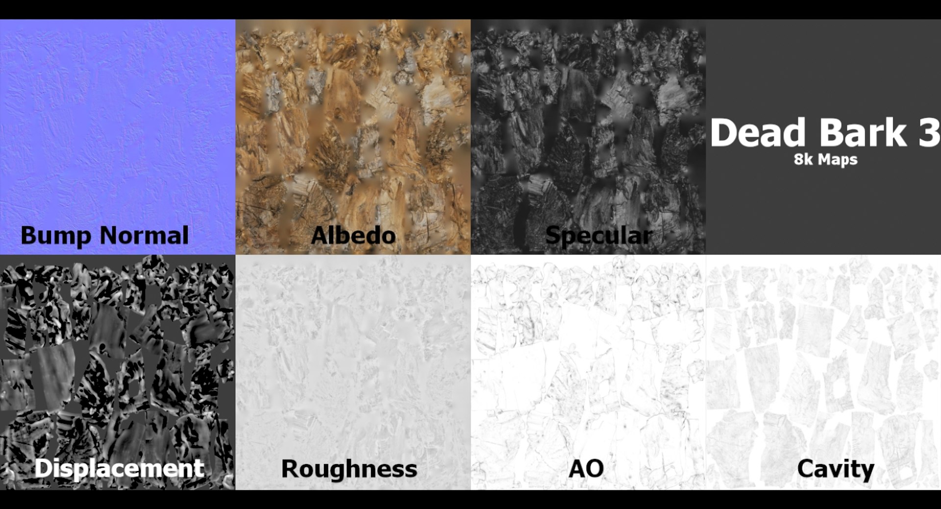 3D Model Tree Bark Scanned - TurboSquid 1419895