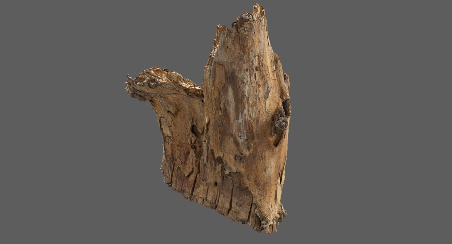 3D Model Tree Bark Scanned - TurboSquid 1419895