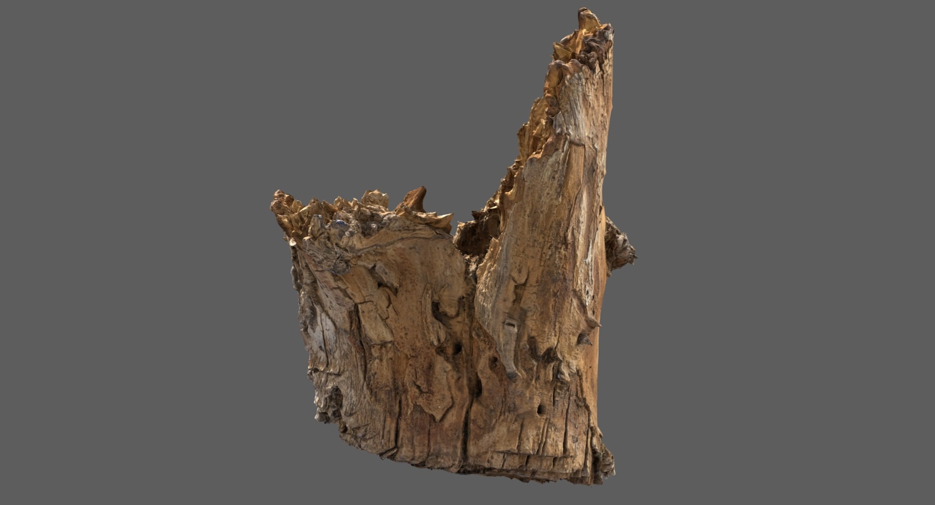 3D Model Tree Bark Scanned - TurboSquid 1419895