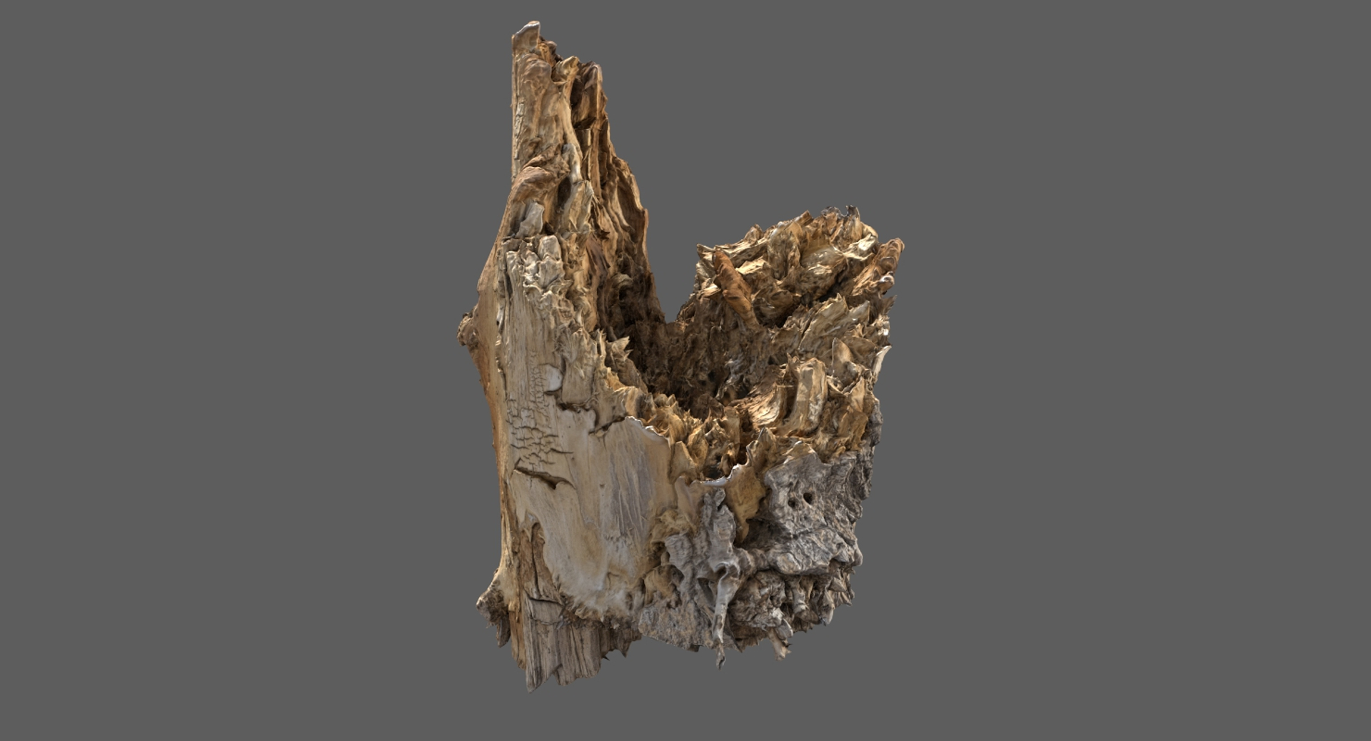 3D Model Tree Bark Scanned - TurboSquid 1419895