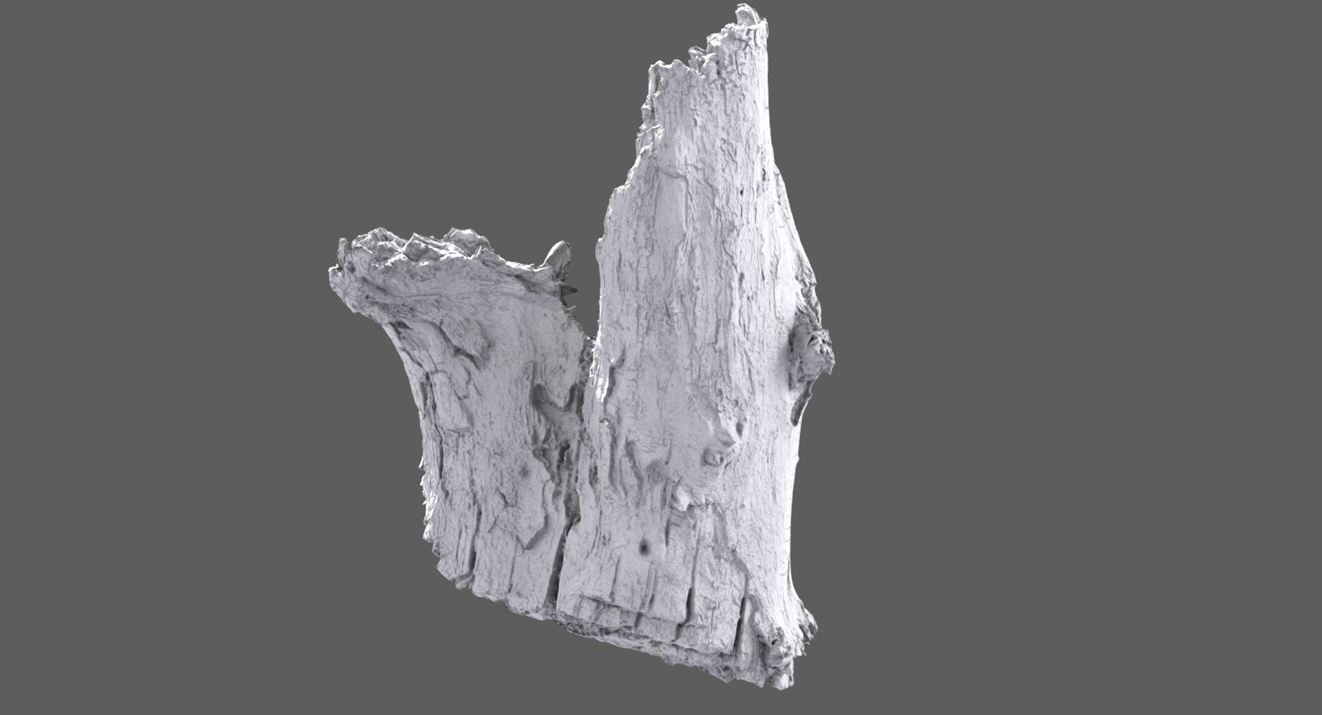 3D Model Tree Bark Scanned - TurboSquid 1419895