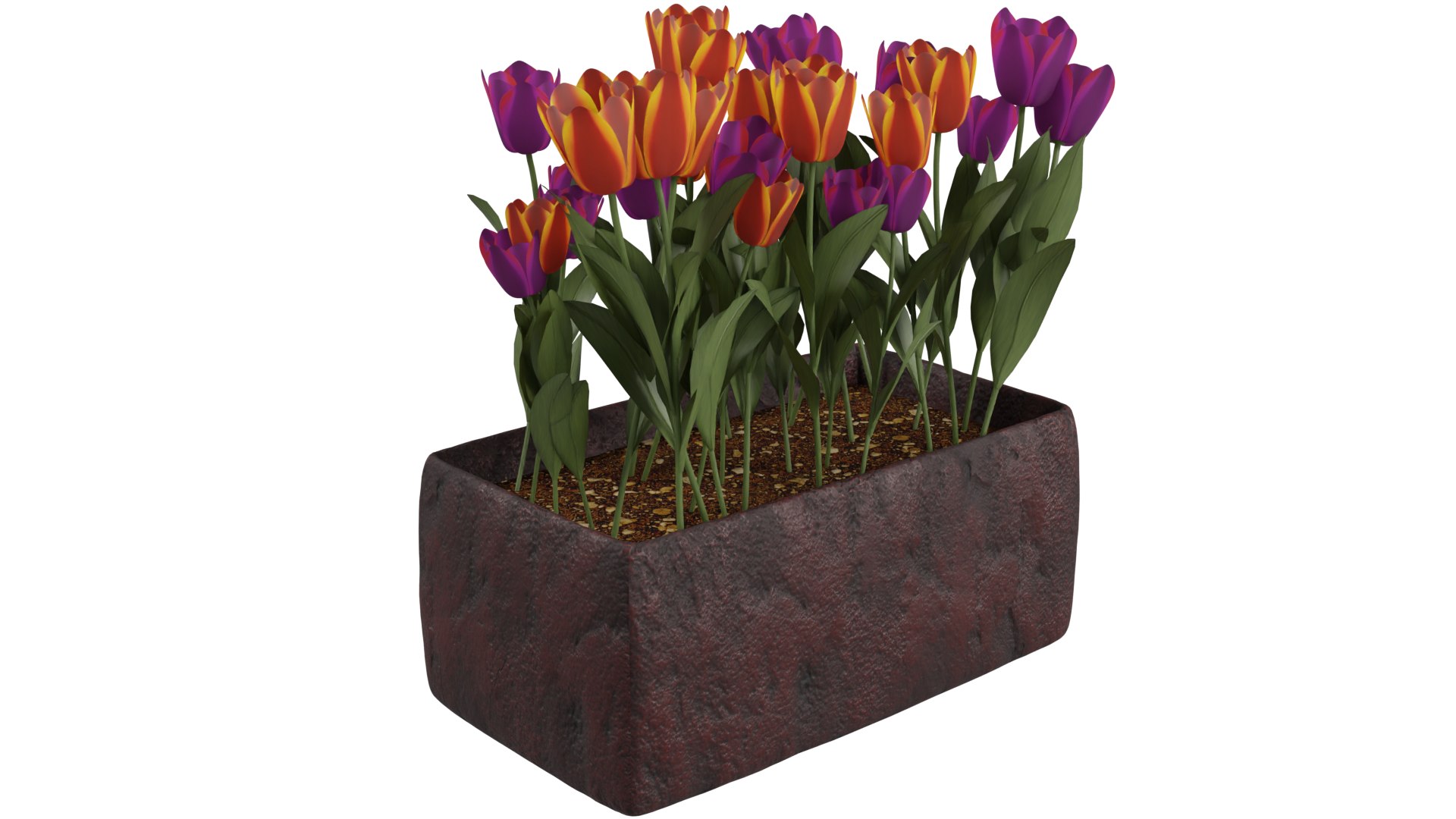 Tulip 3D Model - TurboSquid 2235740