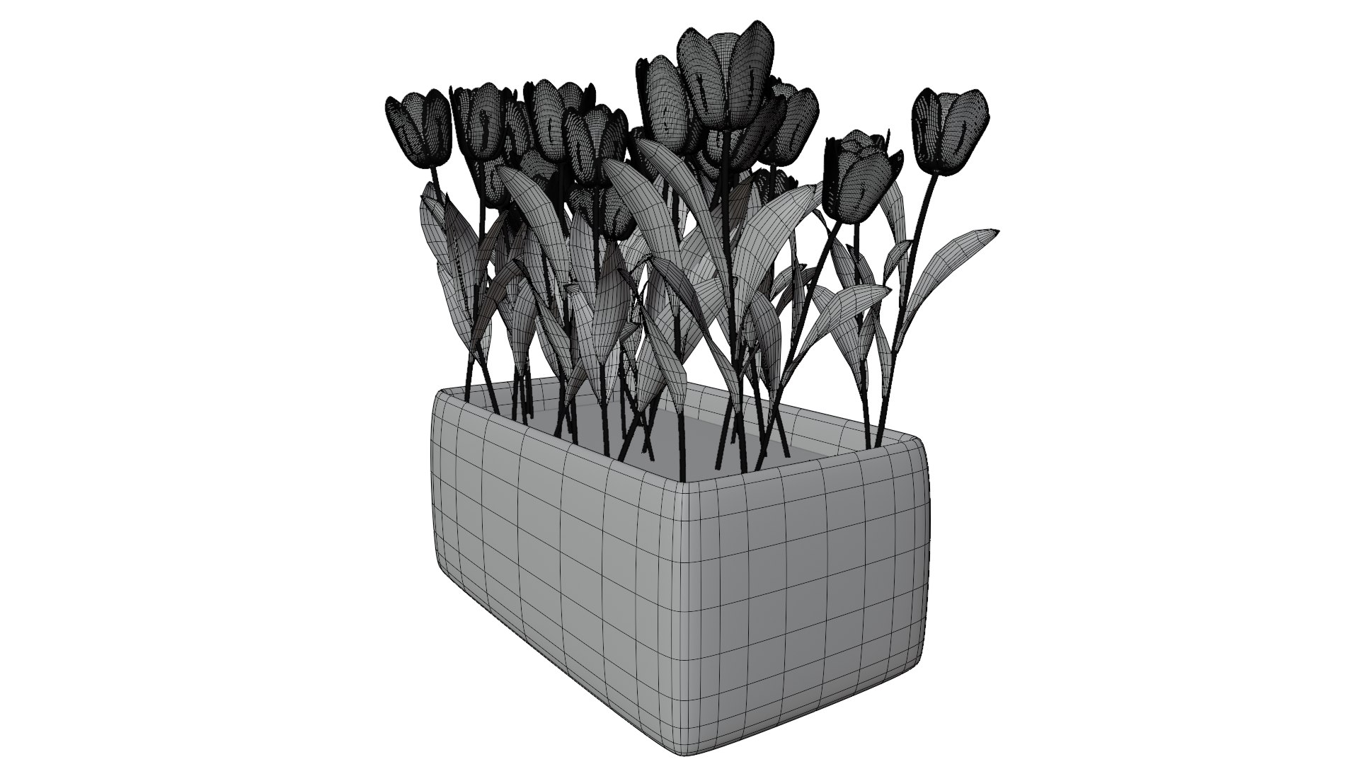 Tulip 3D Model - TurboSquid 2235740