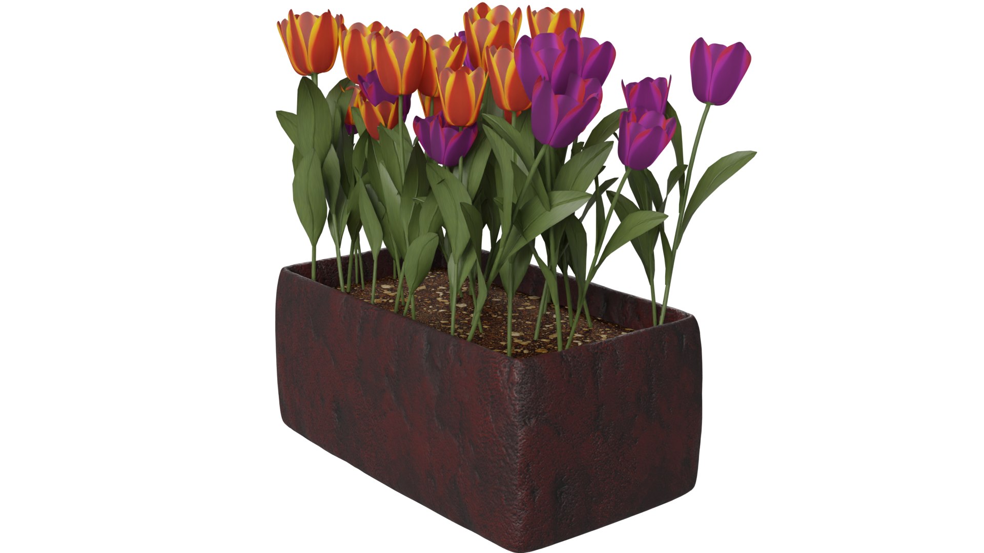 Tulip 3D Model - TurboSquid 2235740