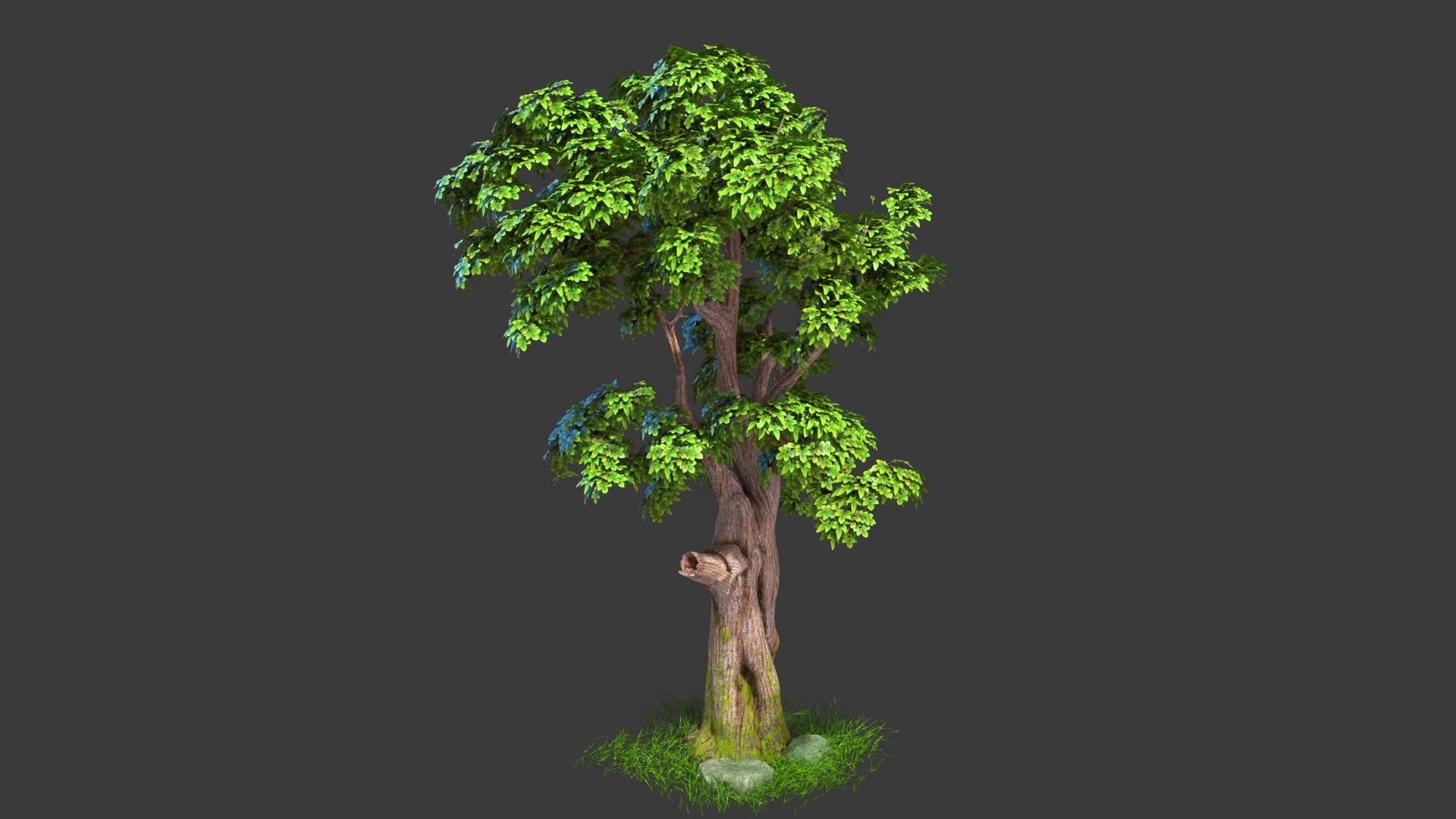 Tree Forest Plant 3D - TurboSquid 1897528