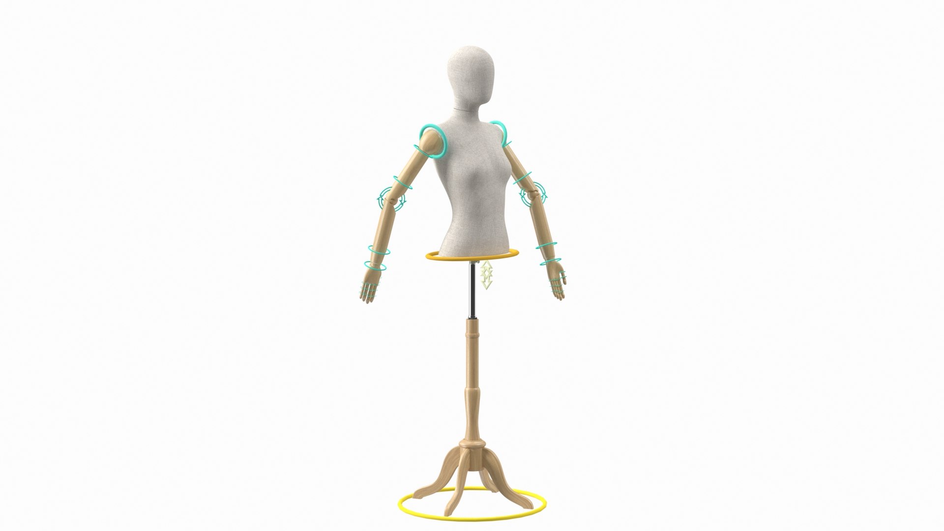 Female Flexible Half Body Mannequin Torso with Wooden Base Rigged 3D ...