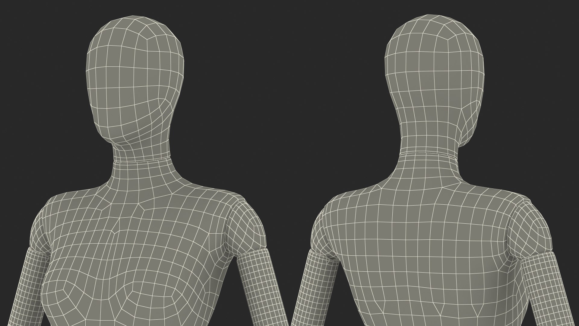 Female Flexible Half Body Mannequin Torso with Wooden Base Rigged 3D ...