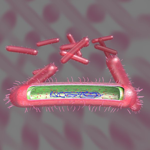 Bacteria 3D Models for Download | TurboSquid