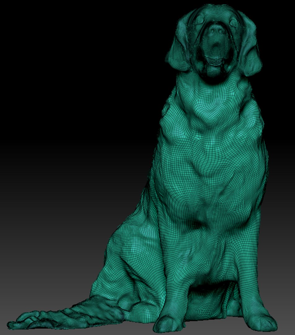 3D Golden Retriever Dog 23 - TurboSquid 1856652