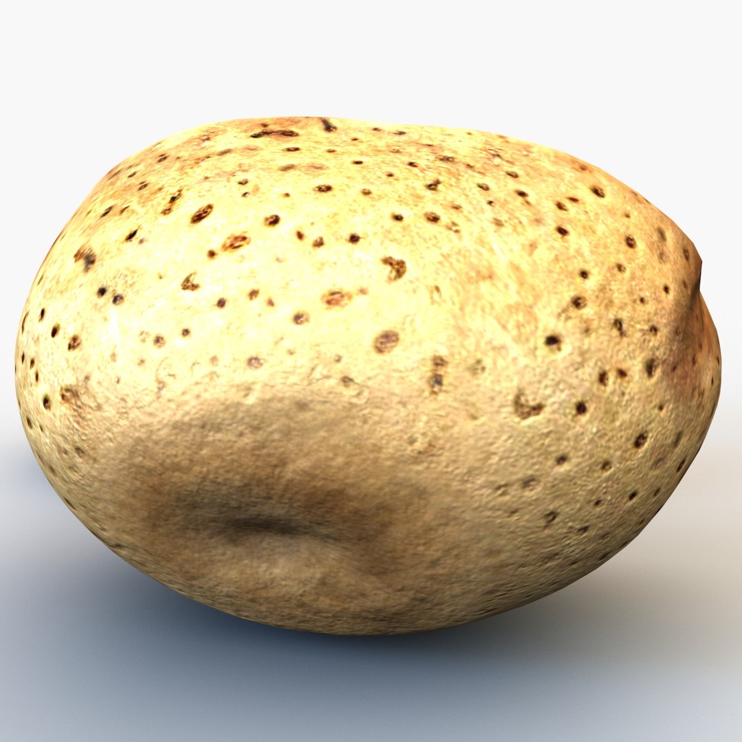 Mongongo Nut 2 3d Max