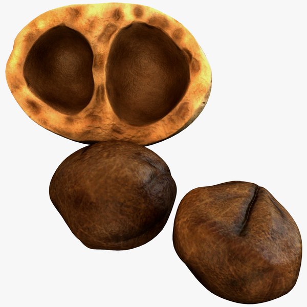 mongongo nut 2 3d max