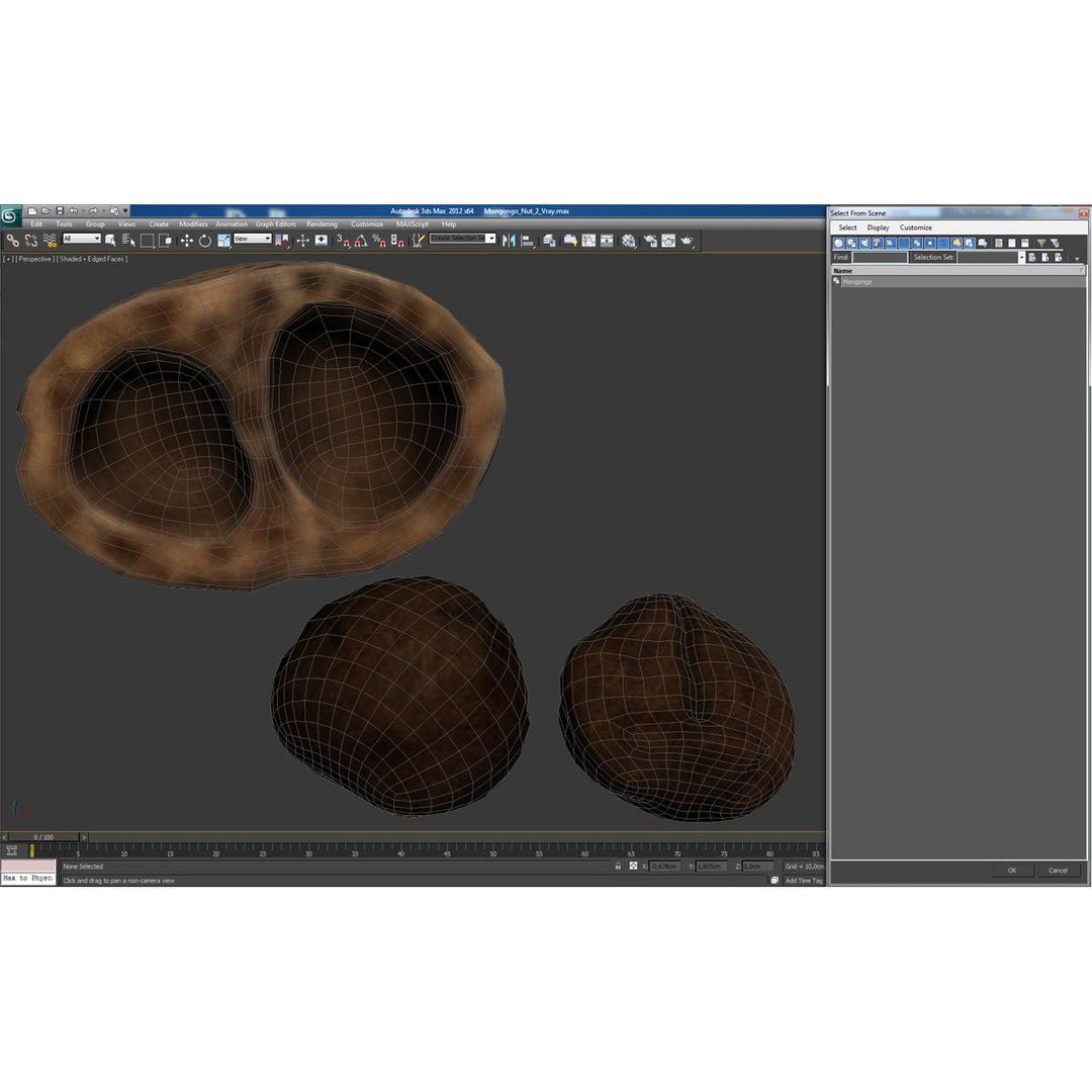 Mongongo Nut 2 3d Max