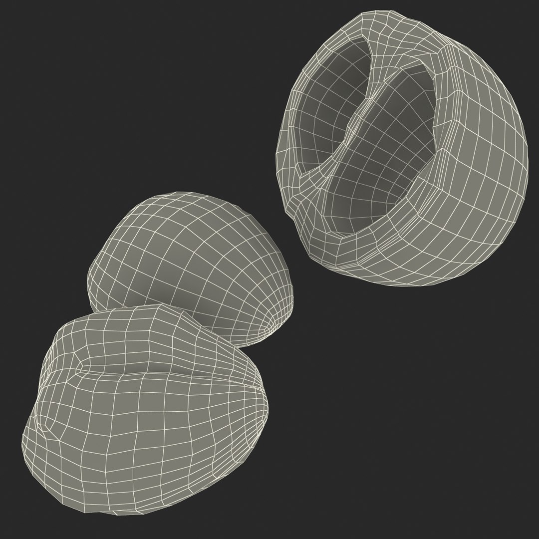 Mongongo Nut 2 3d Max