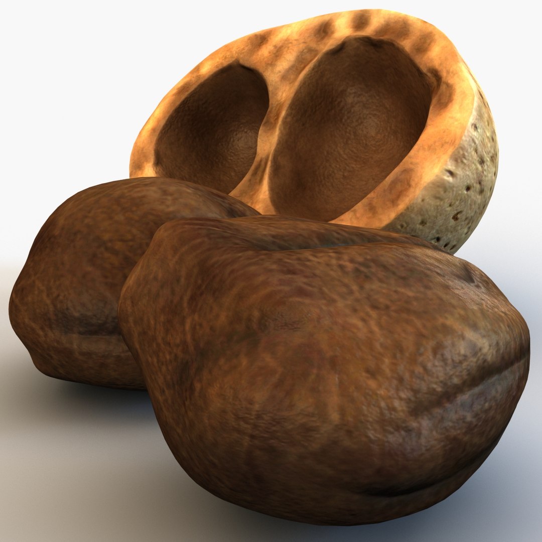 Mongongo Nut 2 3d Max