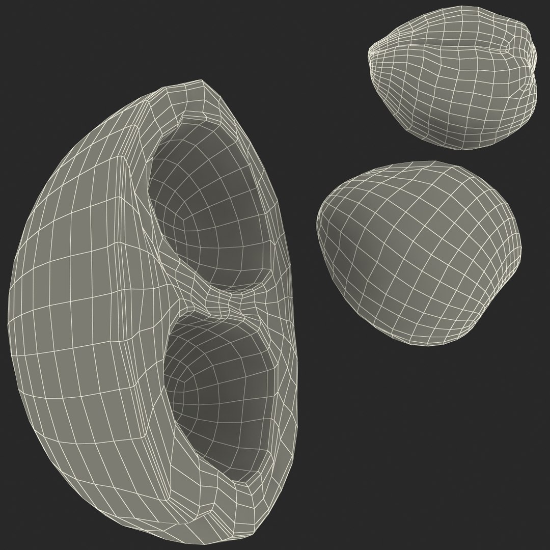 Mongongo Nut 2 3d Max