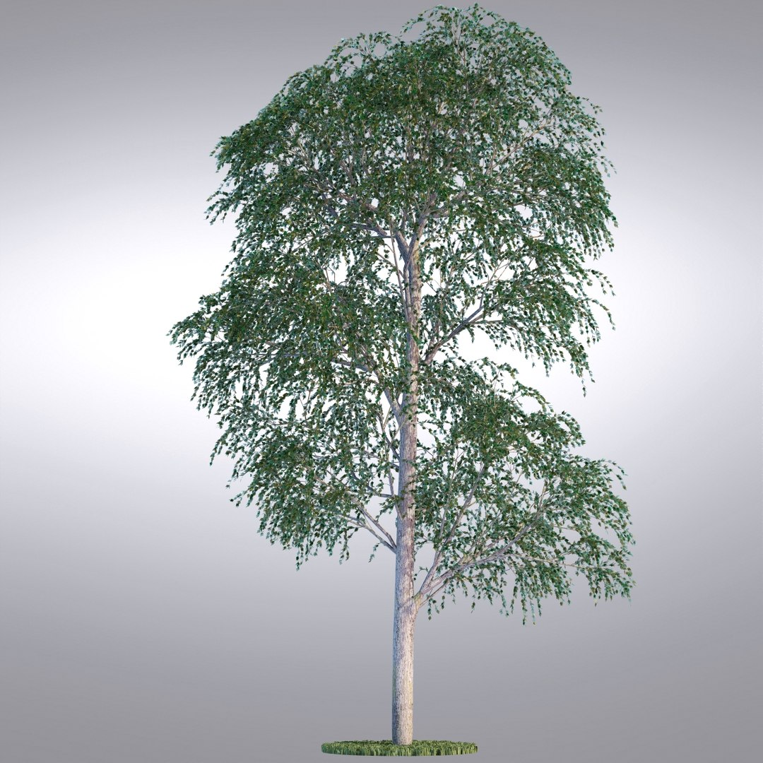 Hi Realistic Series Tree 3d Model