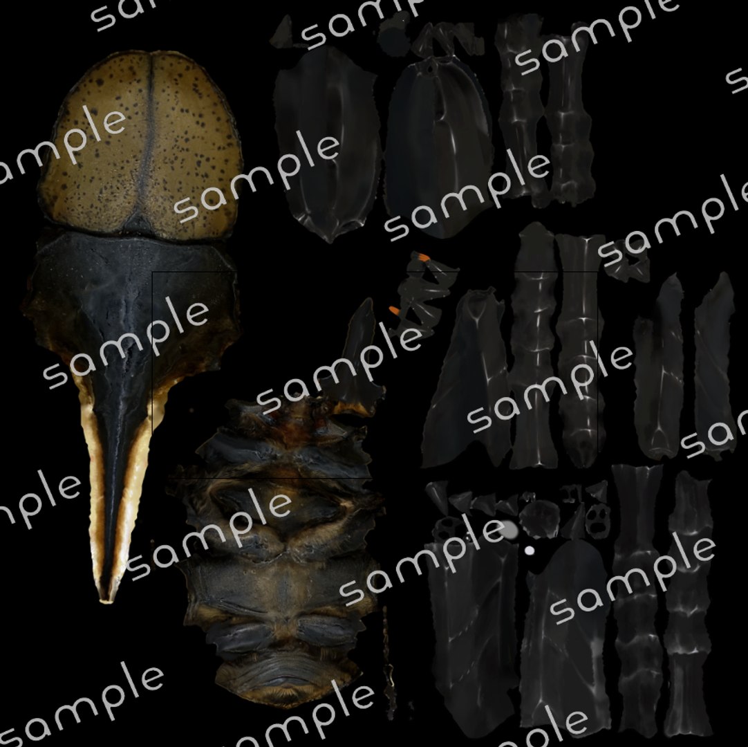 3D Hercules Beetle - TurboSquid 2240979