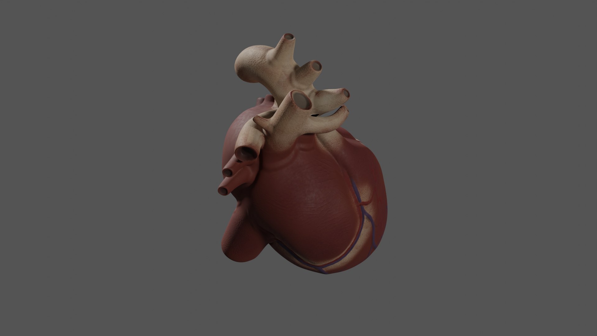 3D Heart - TurboSquid 2108731
