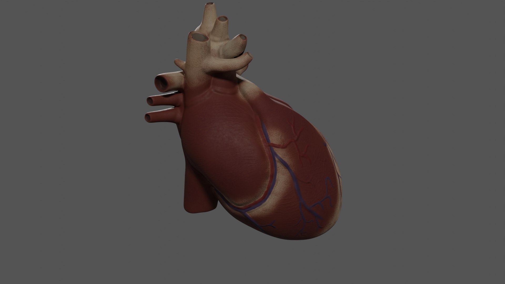 3D Heart - TurboSquid 2108731