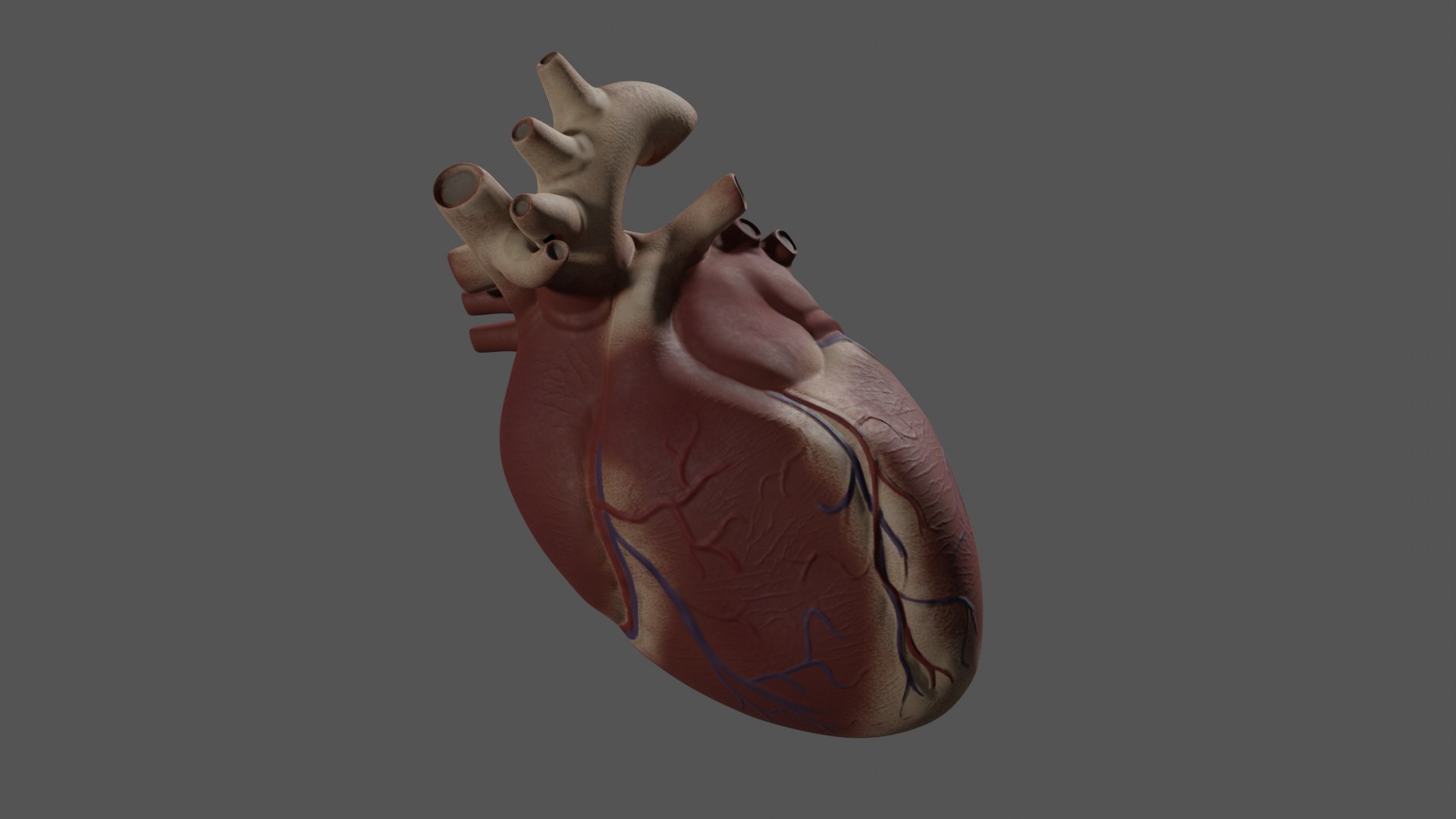 3D Heart - TurboSquid 2108731