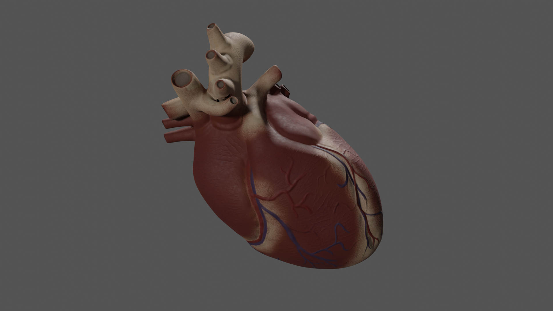 3D Heart - TurboSquid 2108731
