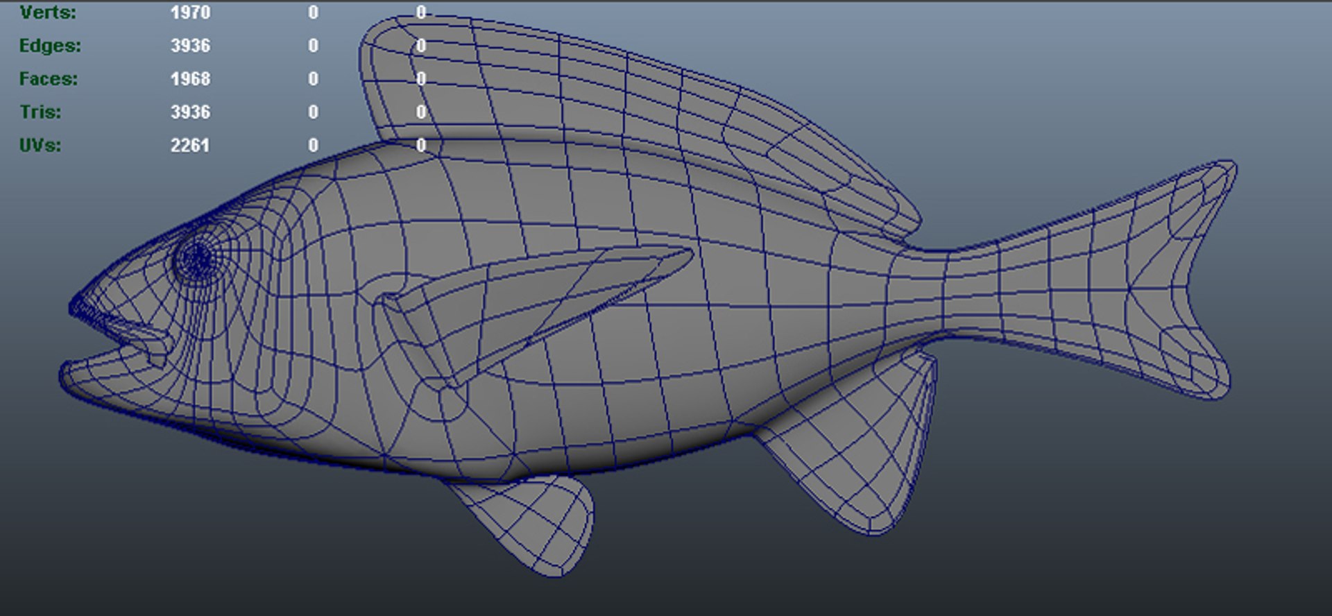 3d Latin Grunt Model