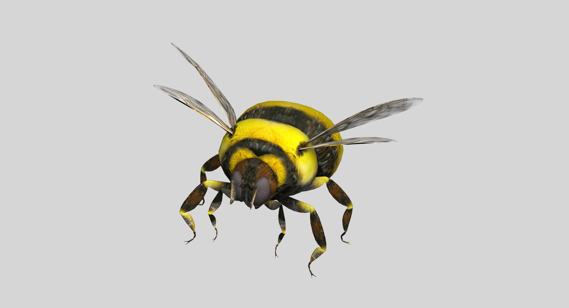 3d Bumblebee