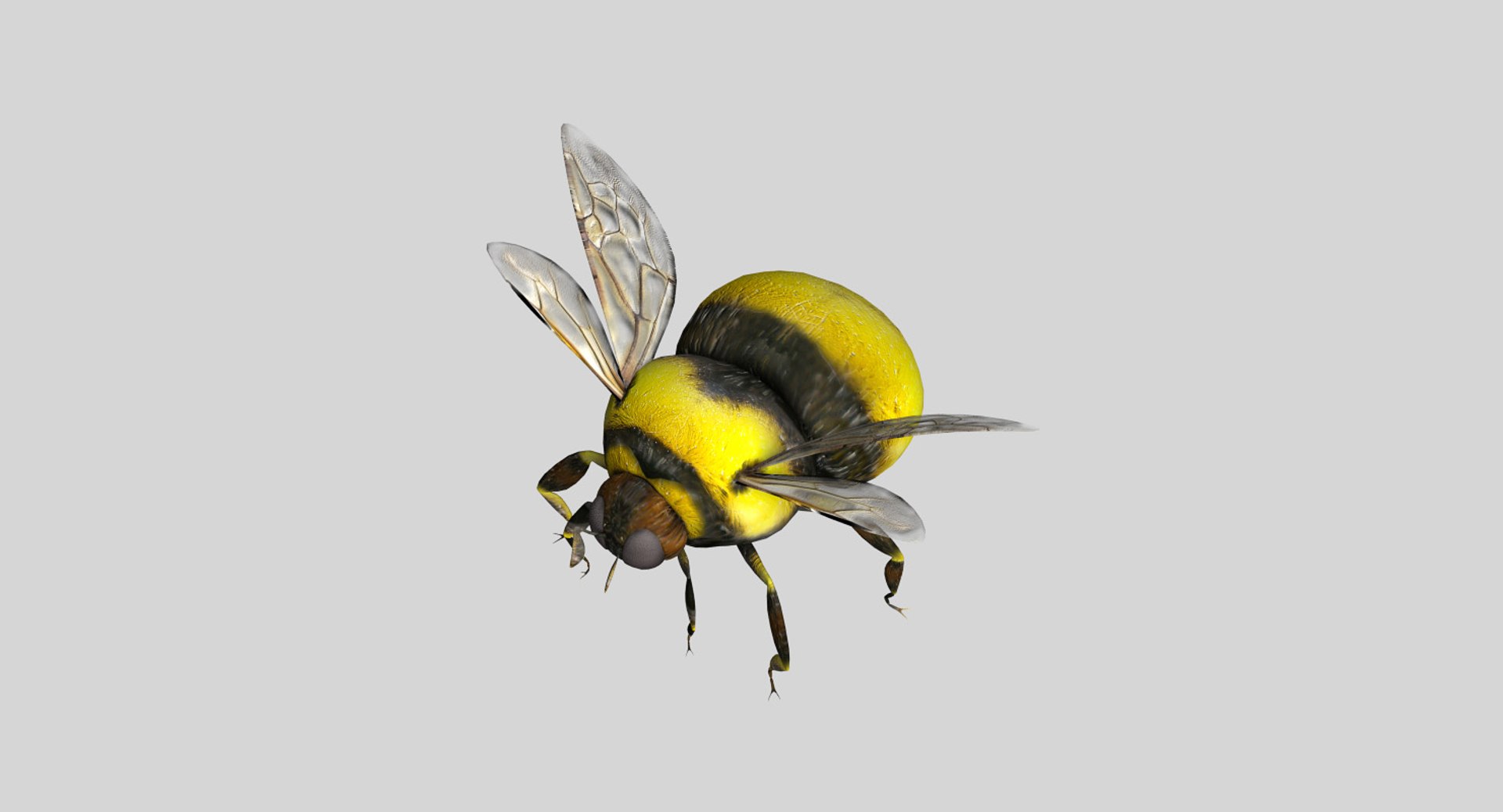 3d Bumblebee