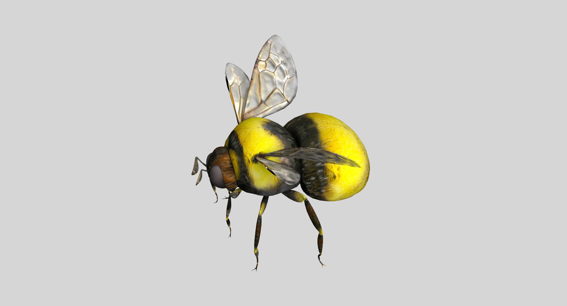 3d Bumblebee