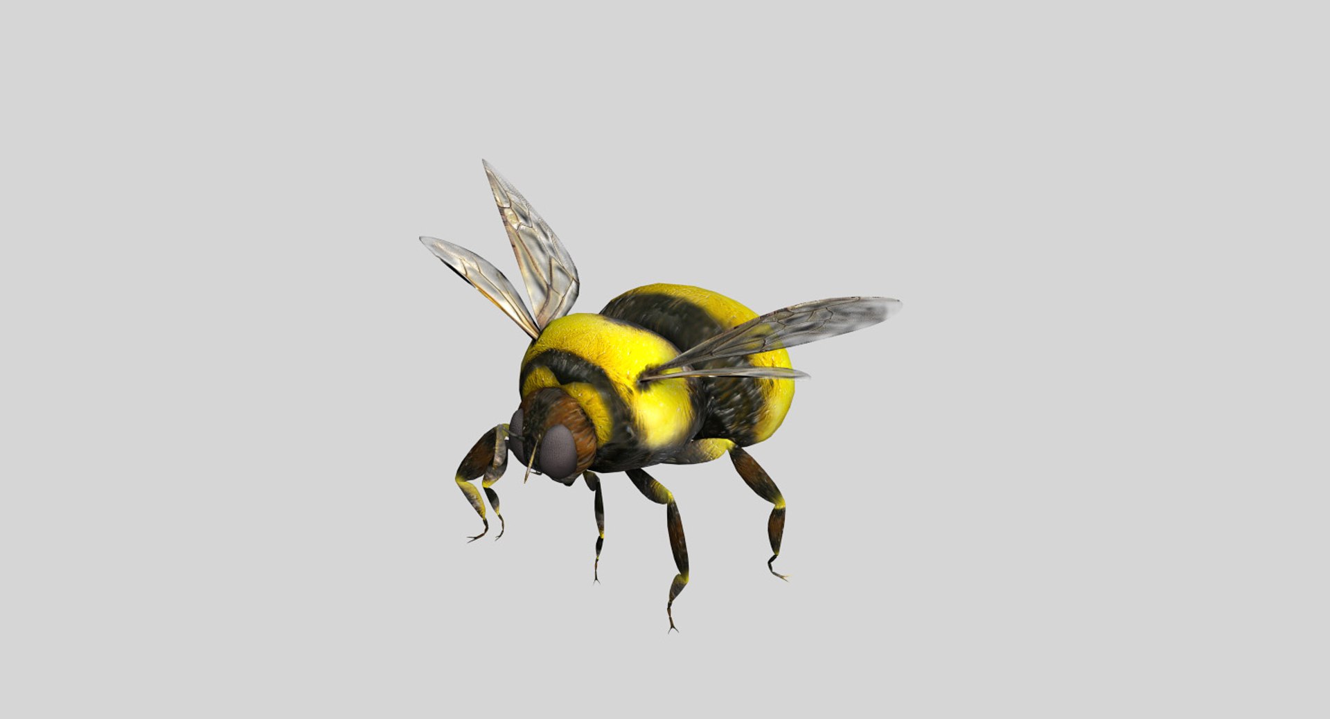 3d Bumblebee