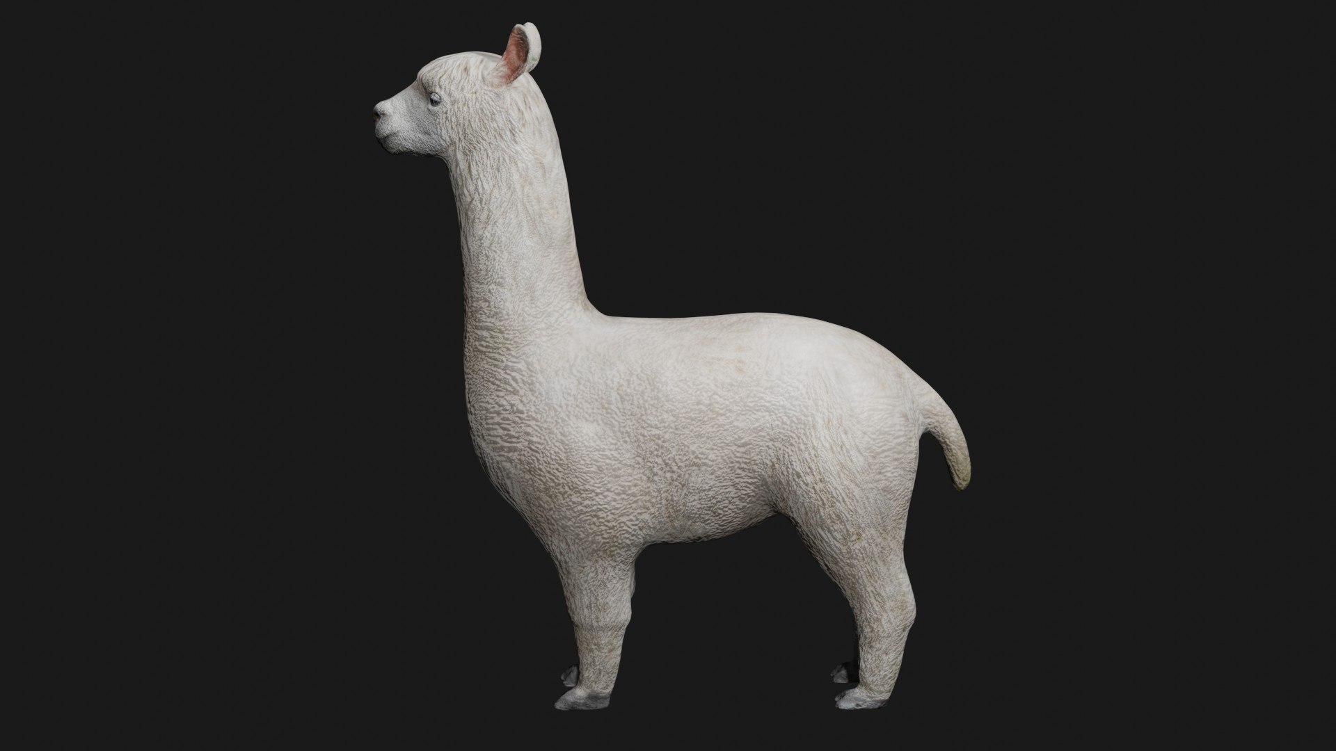 3D Model Llama Rigged - TurboSquid 1662464