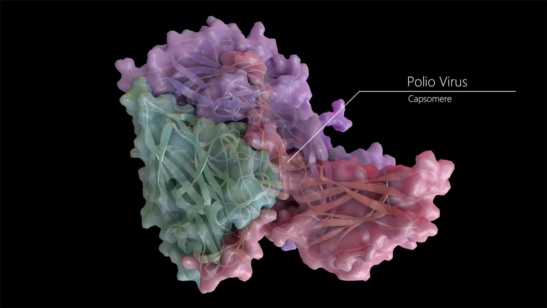3D Scientifically Accurate Structure Polio - TurboSquid 1355456