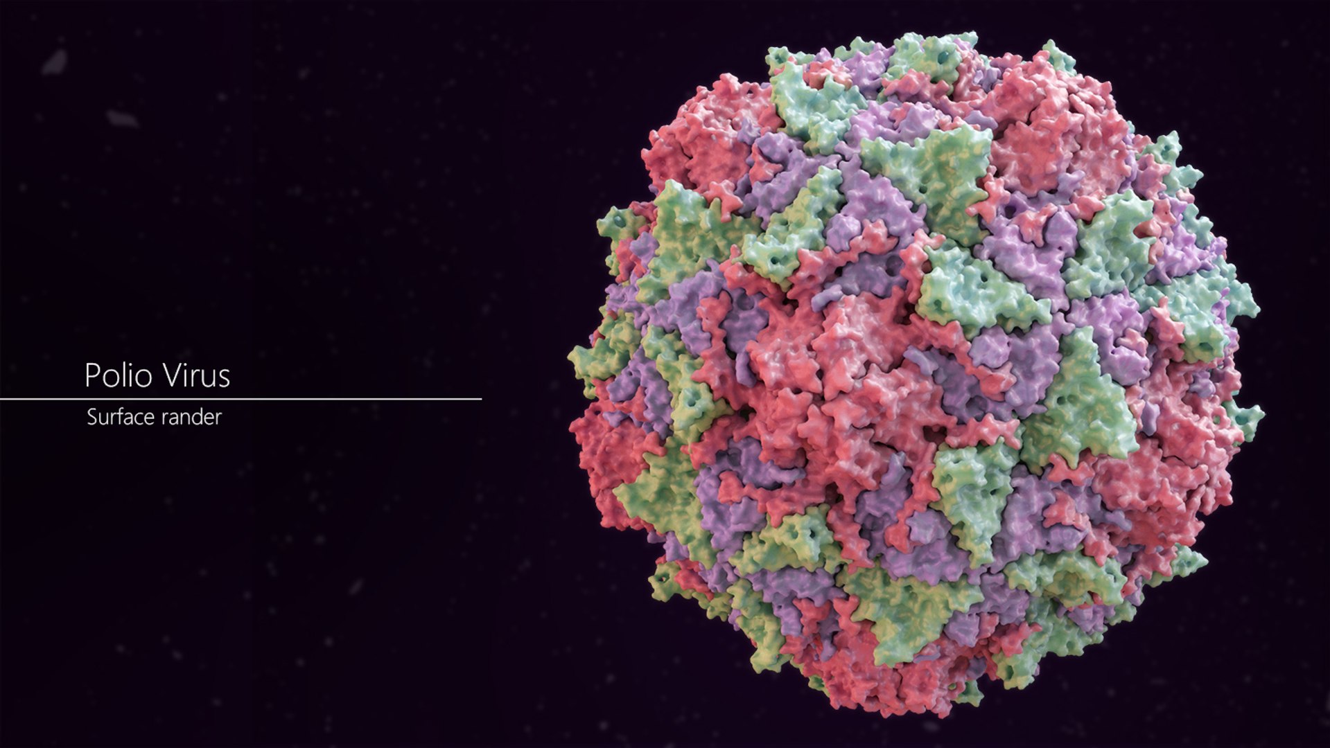 3D Scientifically Accurate Structure Polio - TurboSquid 1355456