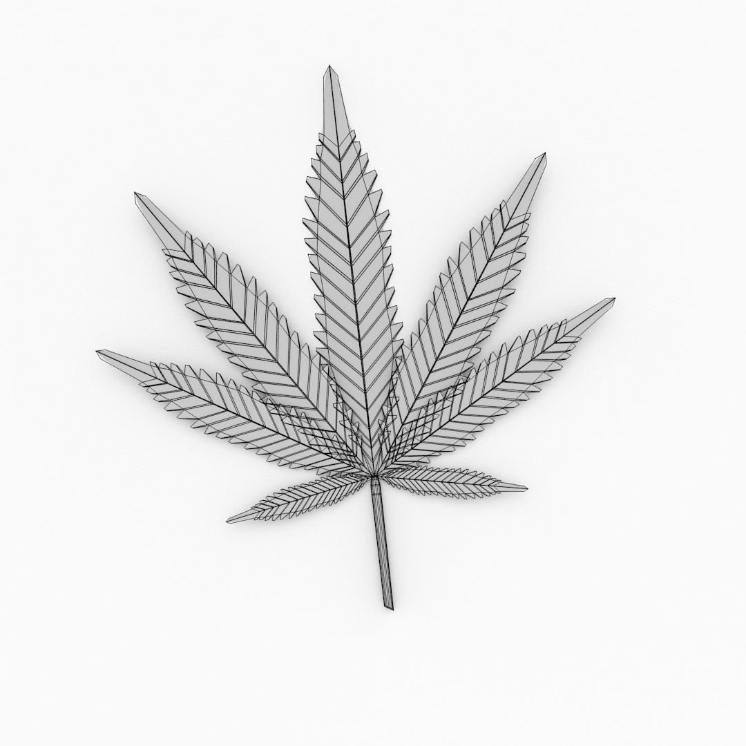 Cannabis leaf 3D - TurboSquid 1304694