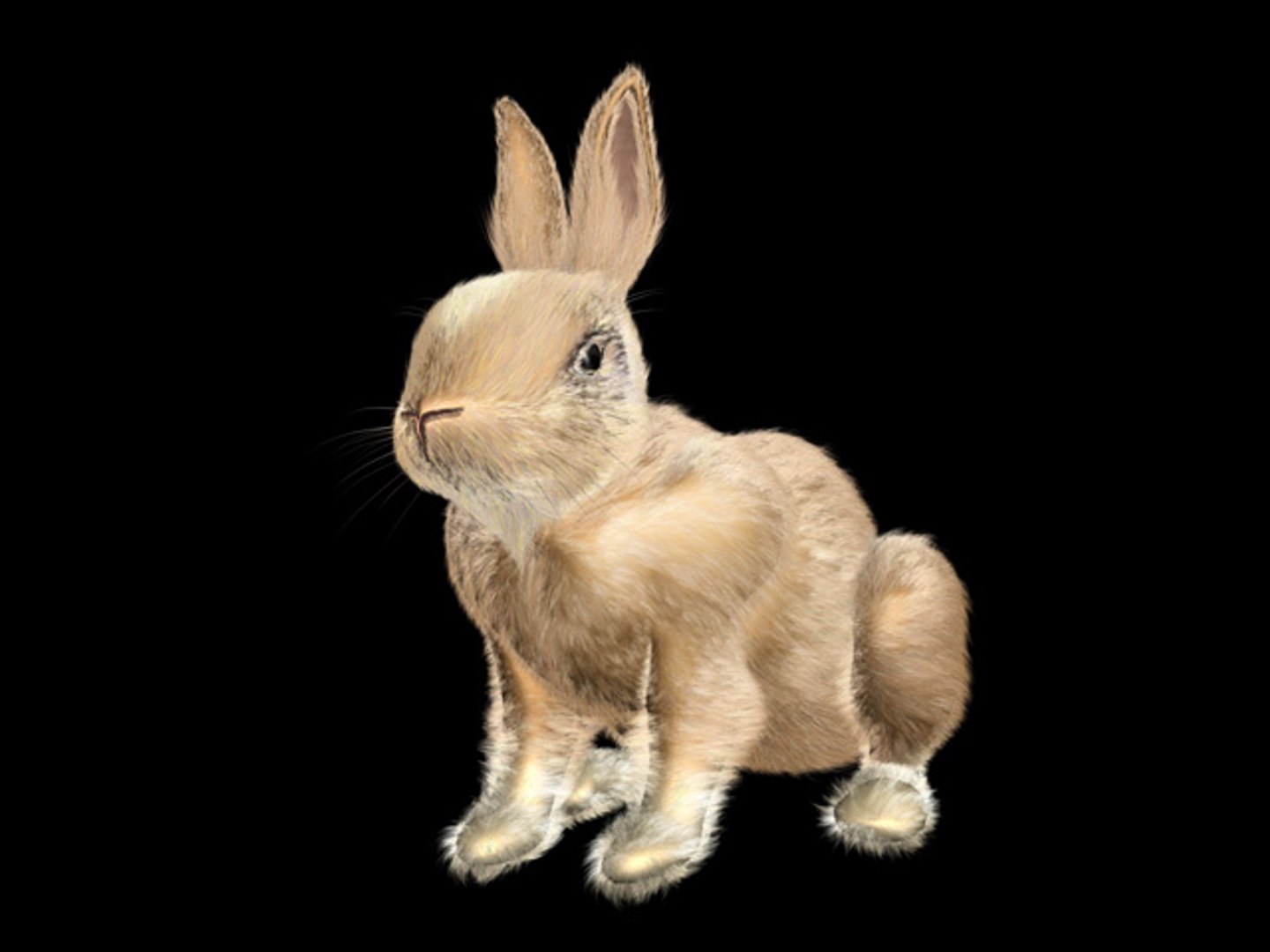 Cute Rabbit Bunny Easter 3d Model
