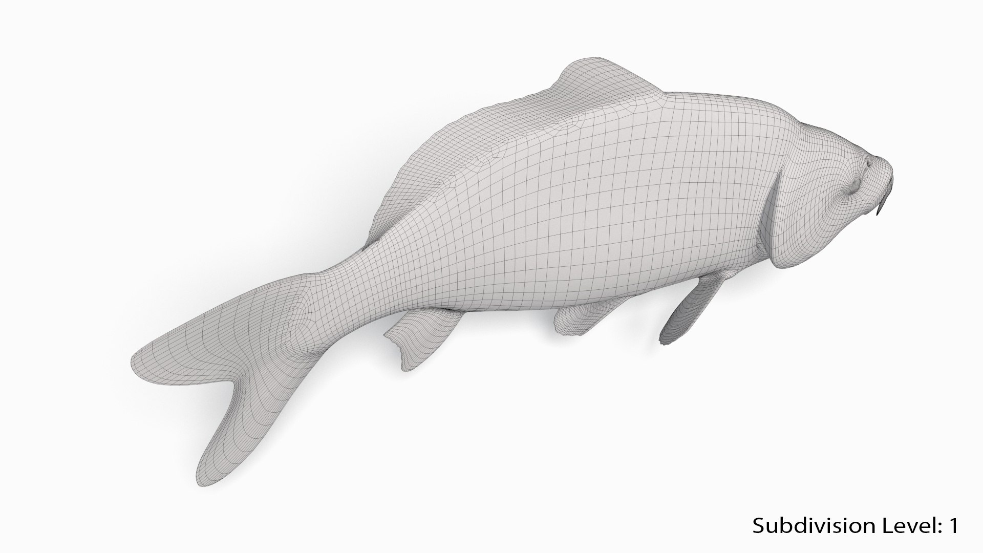 Carp Animated 3D model - TurboSquid 2016713