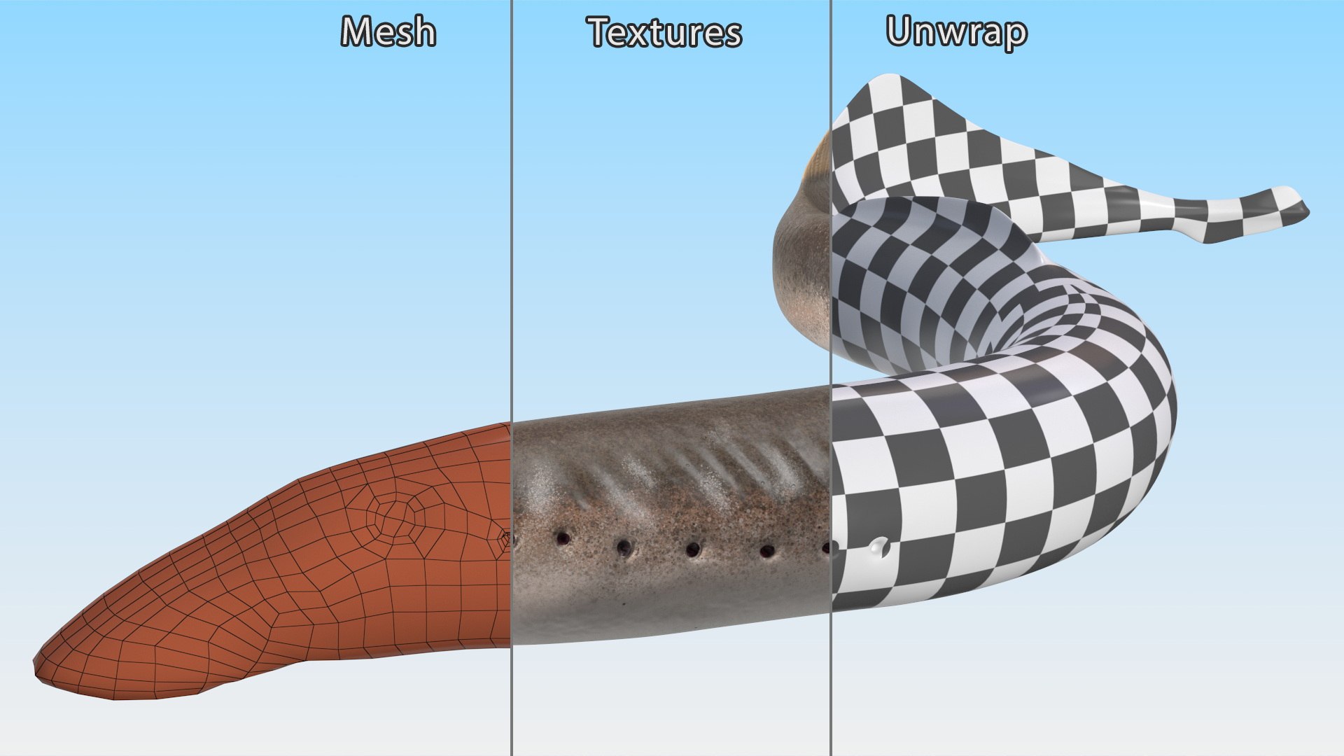 3D Lamprey Motion Pose - TurboSquid 2188941