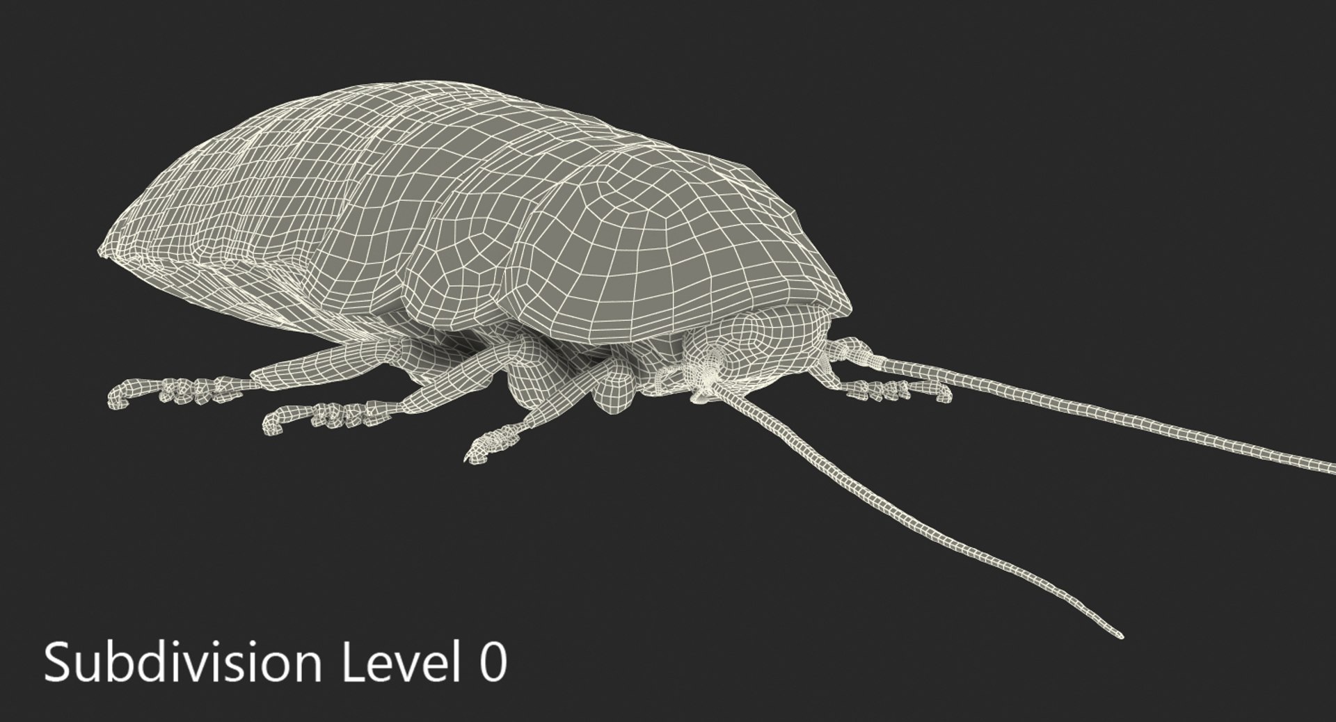 Madagascar Cockroach 3d 3ds