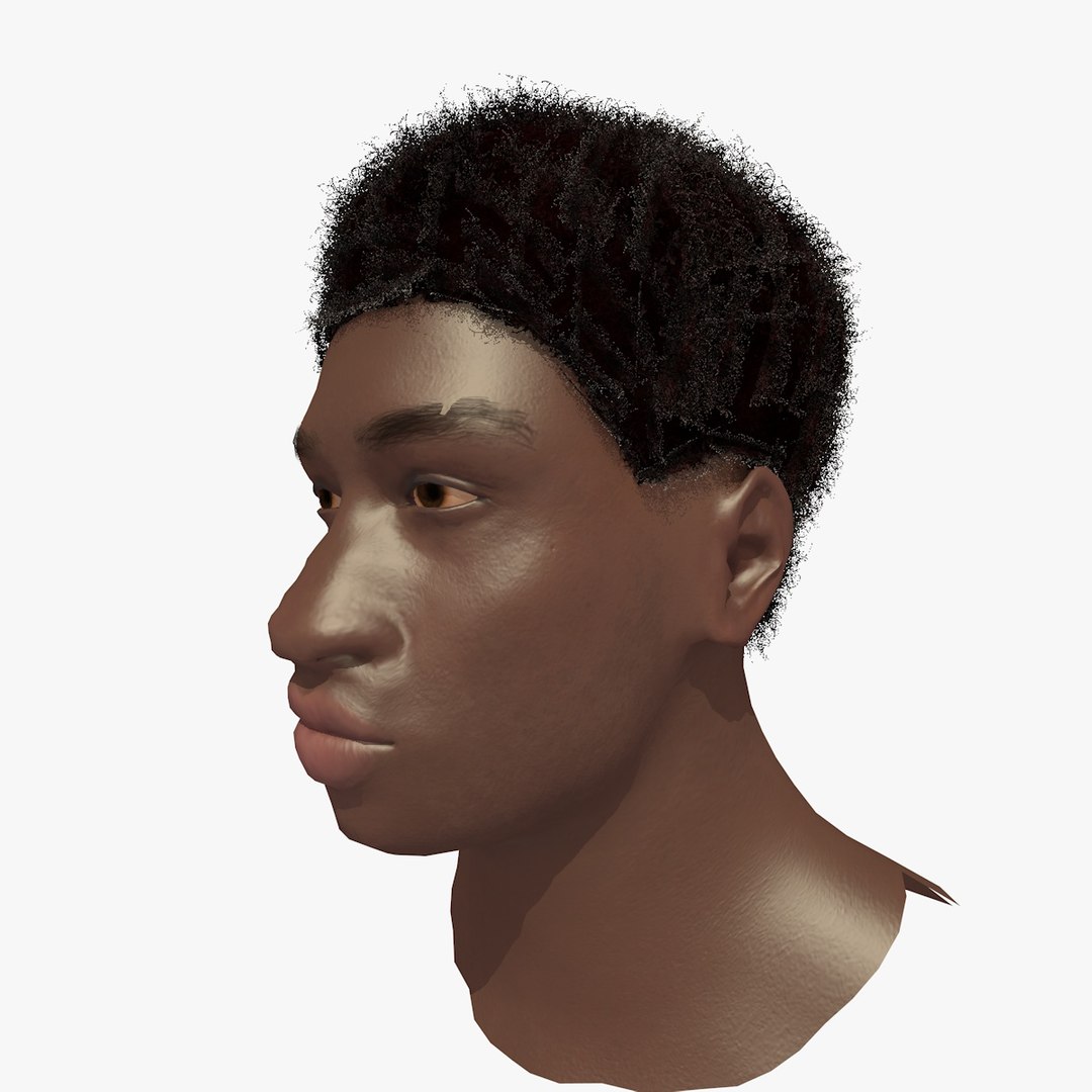 African Male Head 3d 3ds