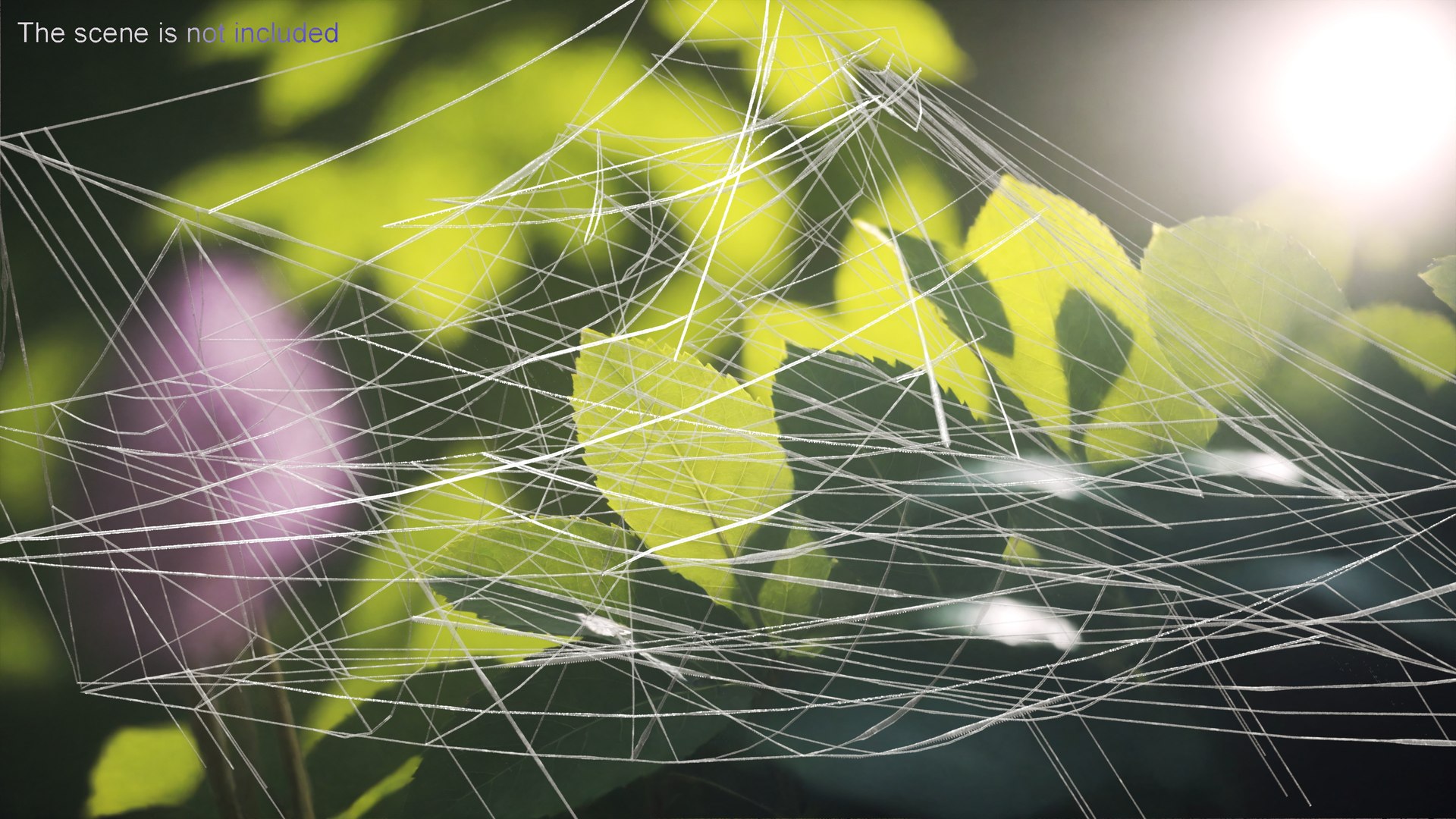 3D Spider Webs Collection 3 - TurboSquid 2298281